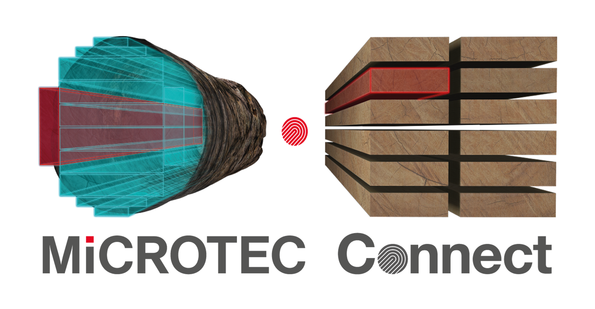 MiCROTEC - Solutions